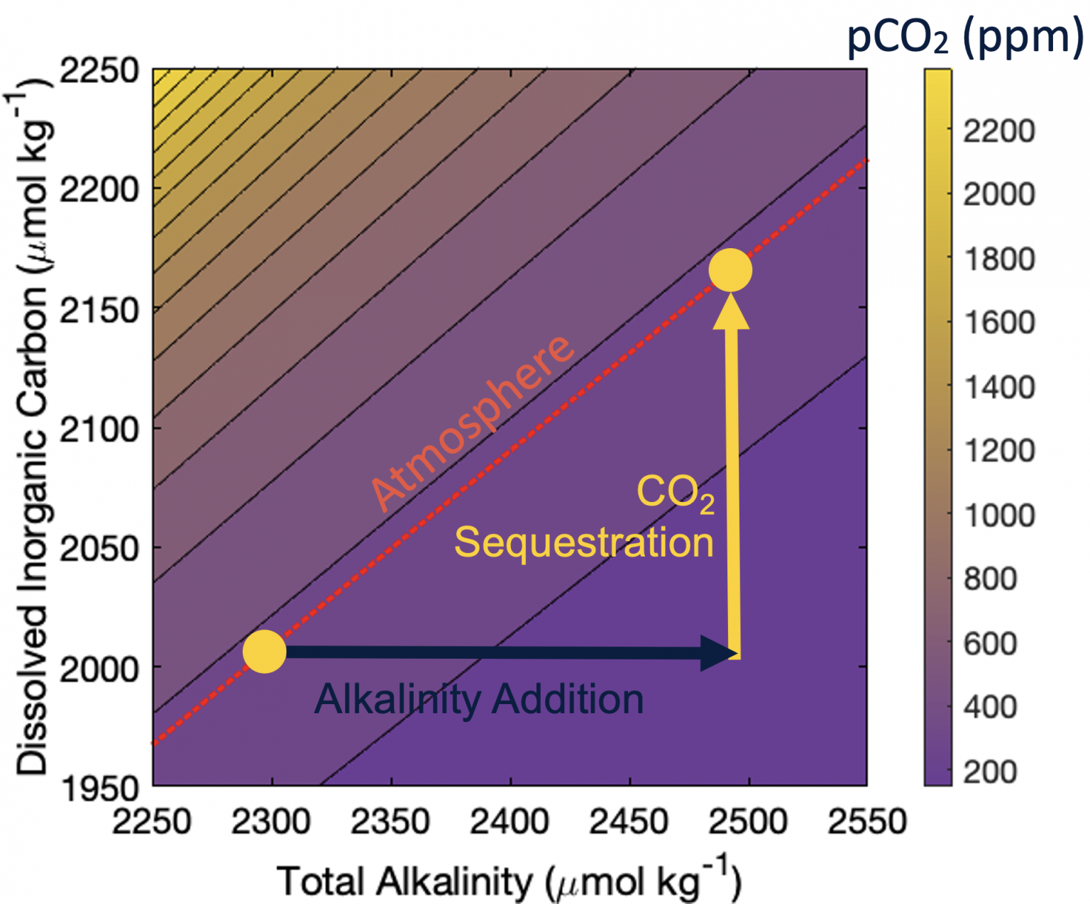 LOC-NESS - Subhas Lab