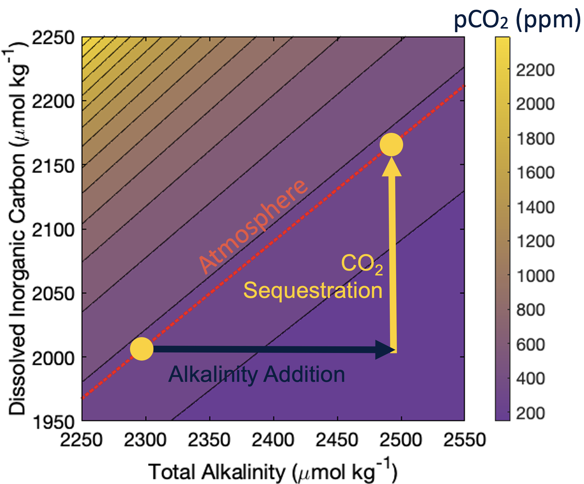 LOC-NESS - Subhas Lab