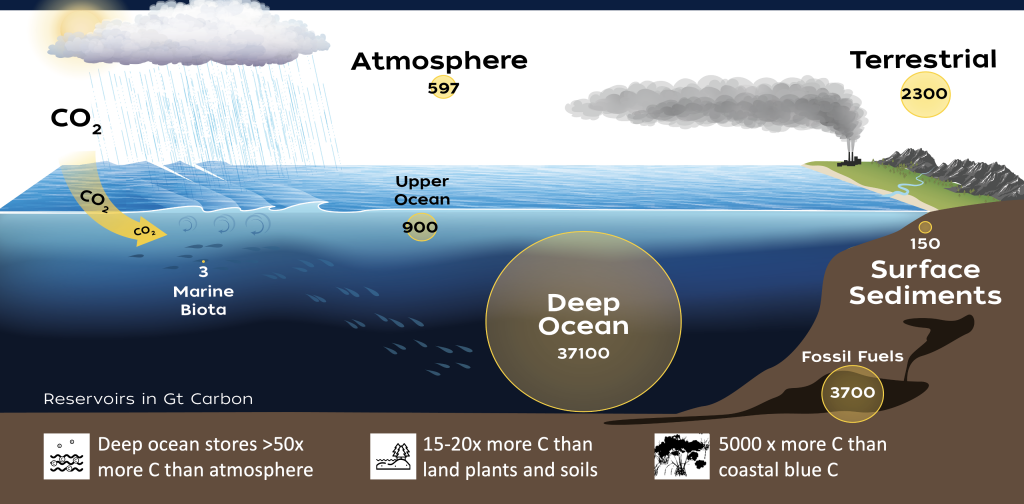 LOC-NESS - Subhas Lab